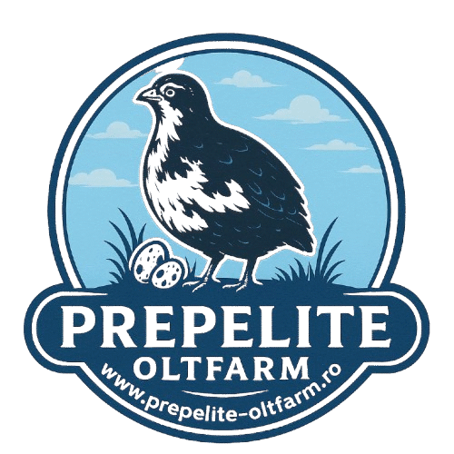 Produse – Prepelite Olt Farm | Carne & Ouă Proaspete